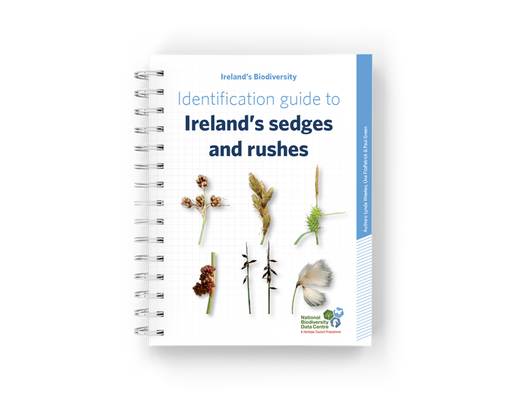 Ireland's sedges and rushes – National Biodiversity Data Centre